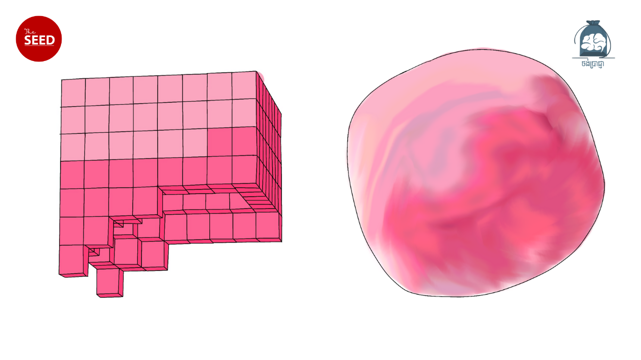 Xenobot: មនុស្សយន្តមានជីវិតដំបូងបង្អស់ - The SEED Cambodia
